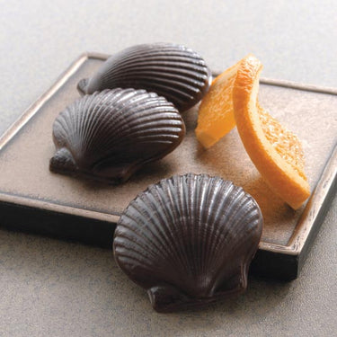 12 pc Sweet Shells | Gourmet Dark Chocolate | Harbor Sweets